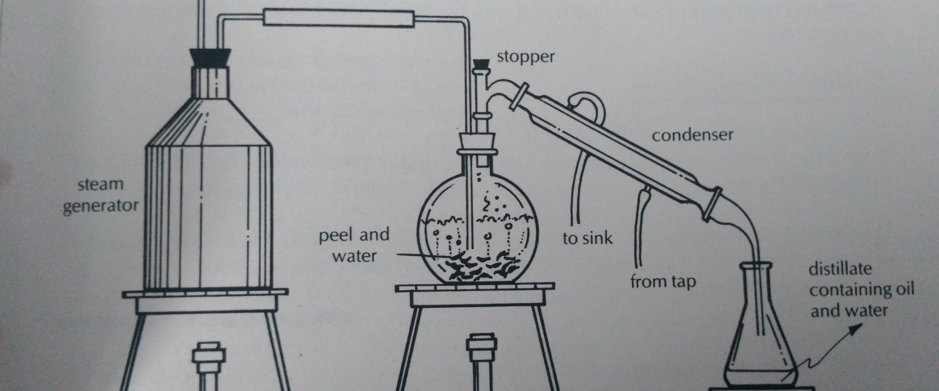The Different Methods of Extracting Essential Oils